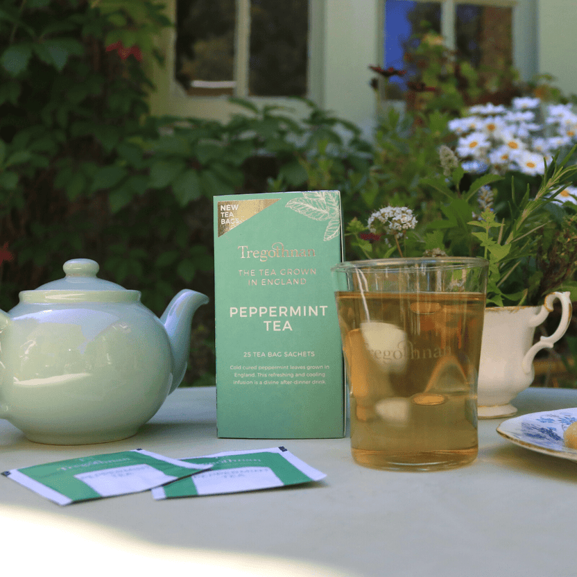 Peppermint - 25 Tea Bags – Tregothnan