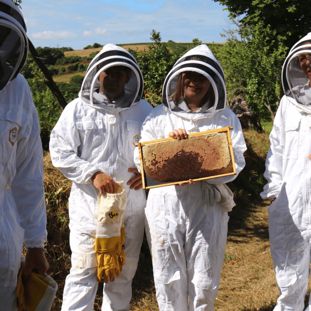 Beekeeping Course – Tregothnan