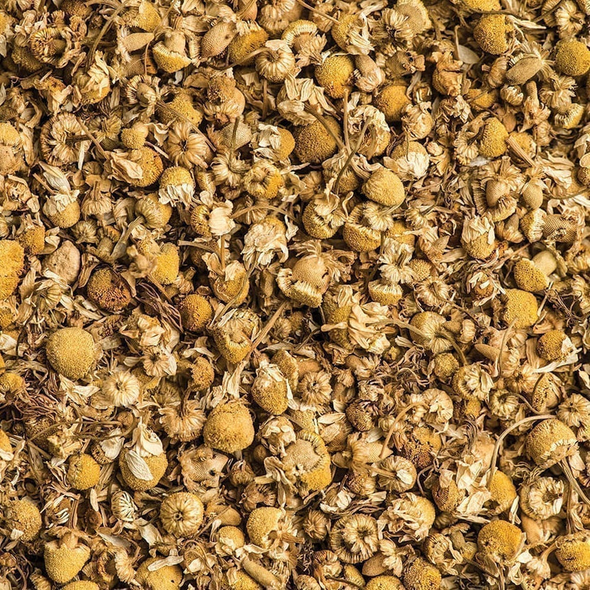 Tea Guide – Tregothnan