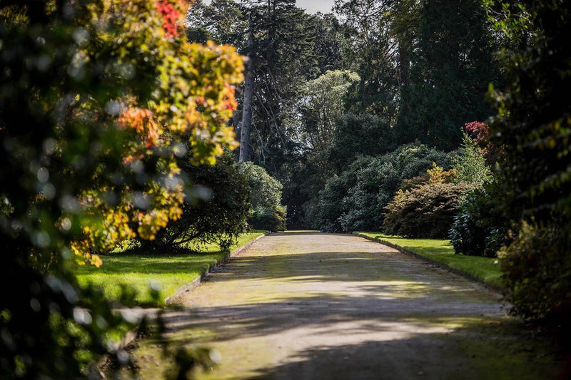 Estate – Tregothnan