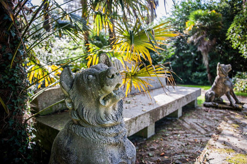 Our Garden History – Tregothnan