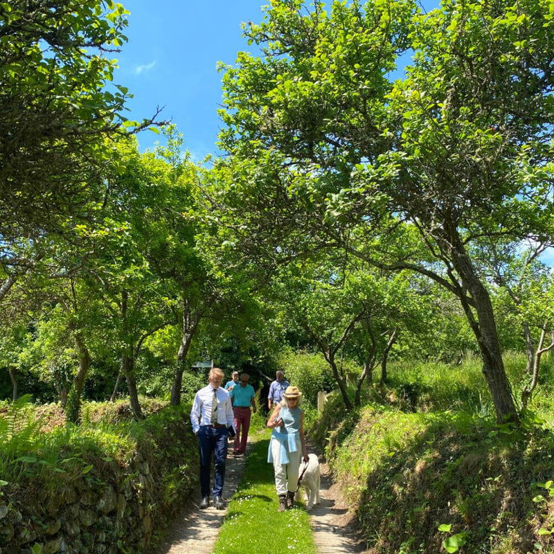 River Garden Tour – Tregothnan