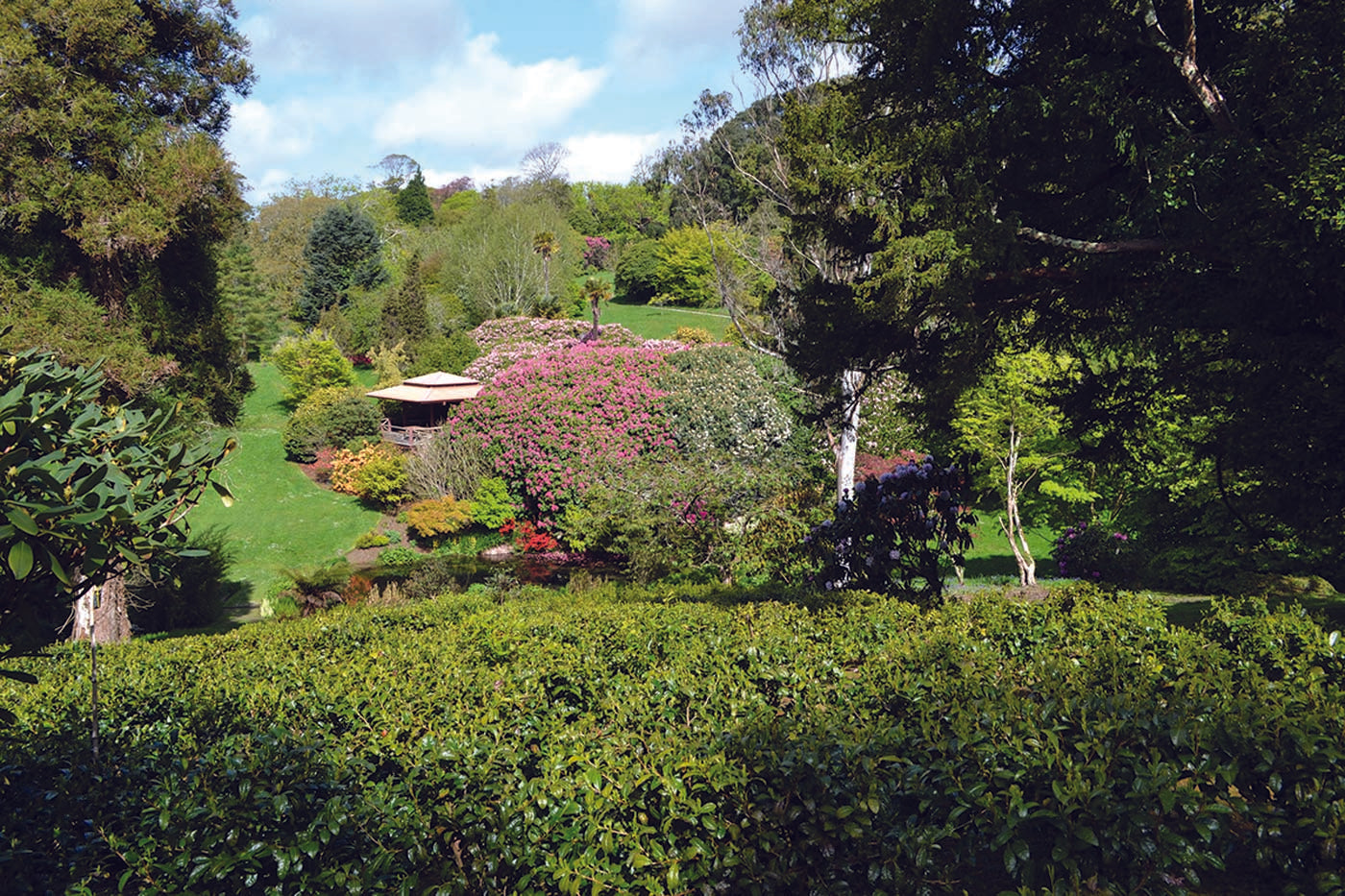 Careers – Tregothnan